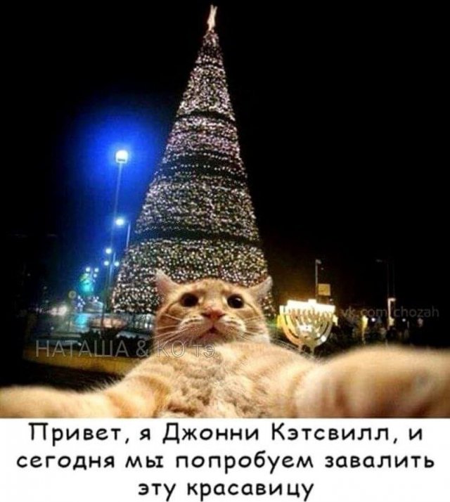 Шутки и мемы про новогодние праздники 2024 (25 фото) | Екабу.ру ...