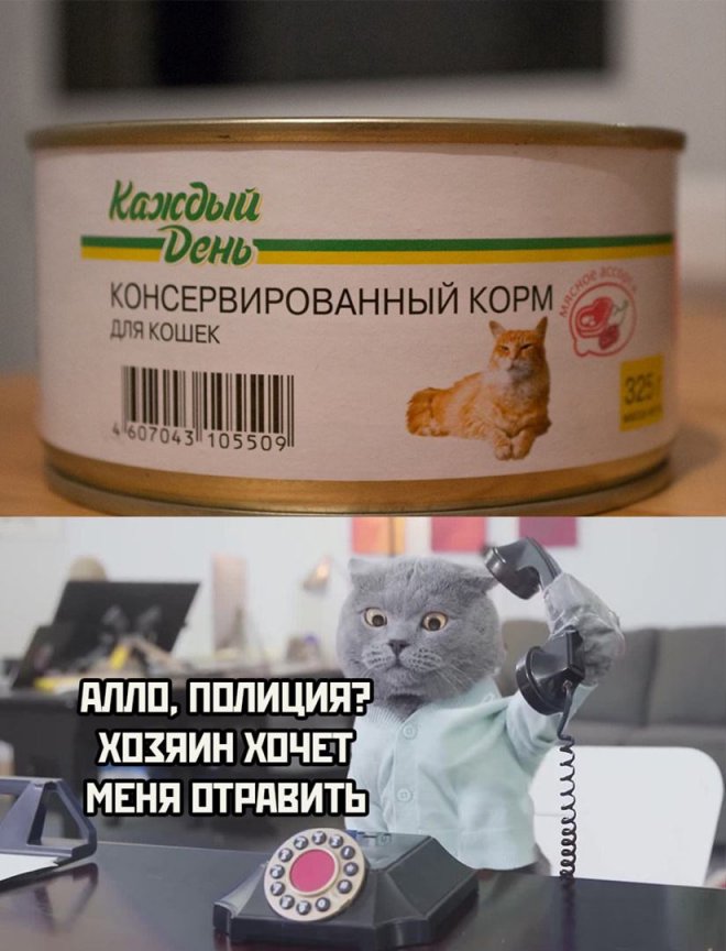 Прикольные картинки 17 фото от 7 апреля 2022 | Екабу.ру ...